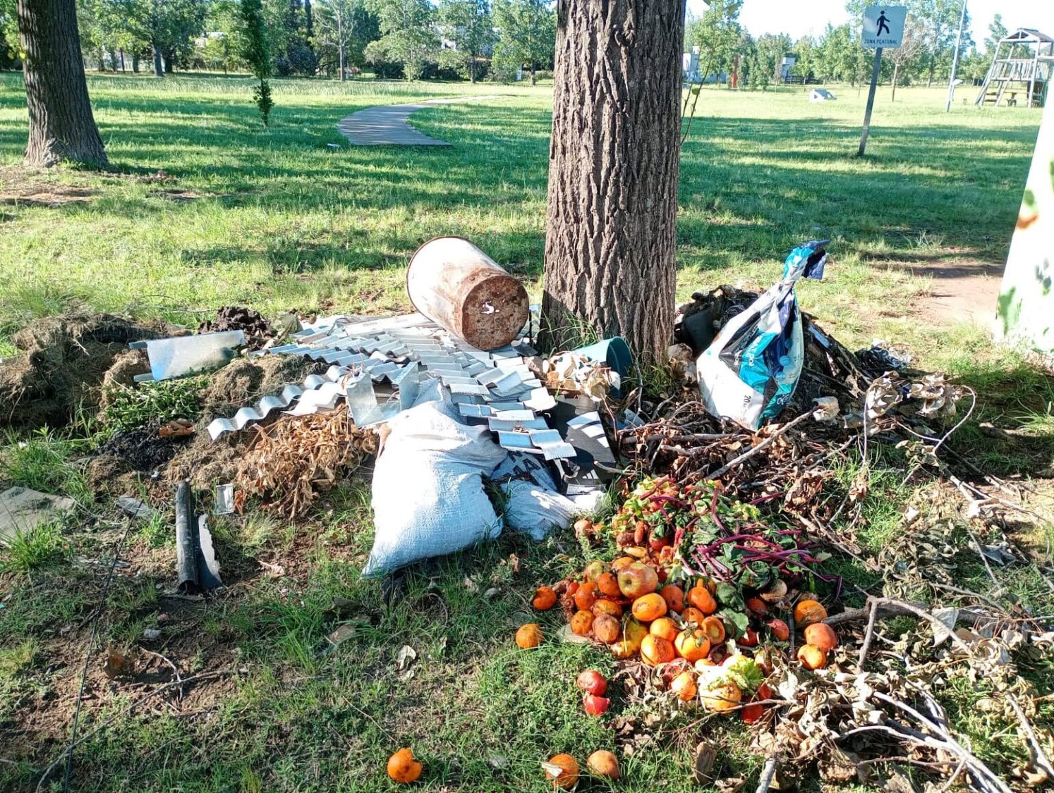 Siguen tirando basura en cualquier lado en la ciudad | OesteBA
